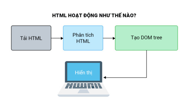 HTML: Tổng quan kiến thức HTML và cách code với HTML - ITviec Blog