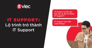 IT Support: Làm gì, cần học những gì, lương bao nhiêu?
