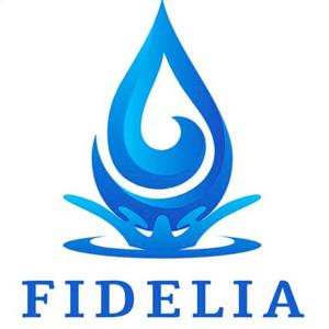 Fidelia tuyển dụng việc làm IT chất nhất | ITviec