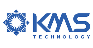 Test Lead (Strategy, Manual-focused) (+ 1-month bonus) at KMS ...