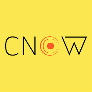 CNOW tuyển dụng việc làm IT chất nhất | ITviec